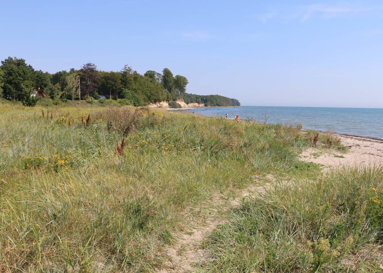 Falster – Ferienhäuser am längsten Ostseestrand